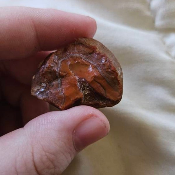 AMAZING Find Water Level Amethyst and Limonite Full Nodule With Peel ...