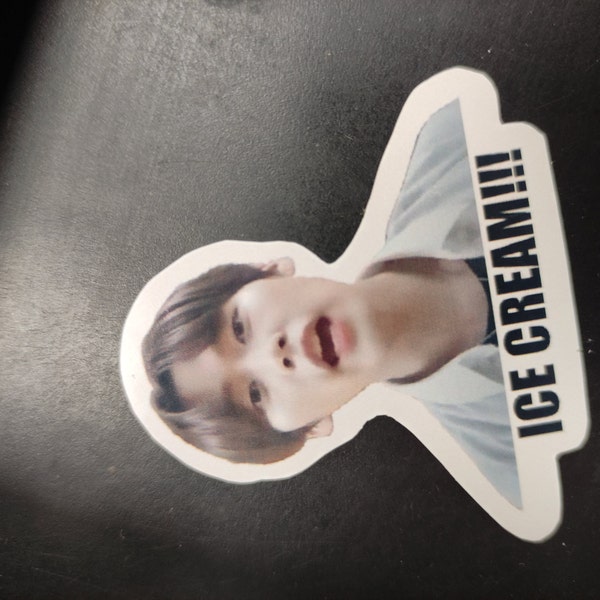 Stray Kids SKZOO Keychains With Star Clasp - Comes With a Free ...