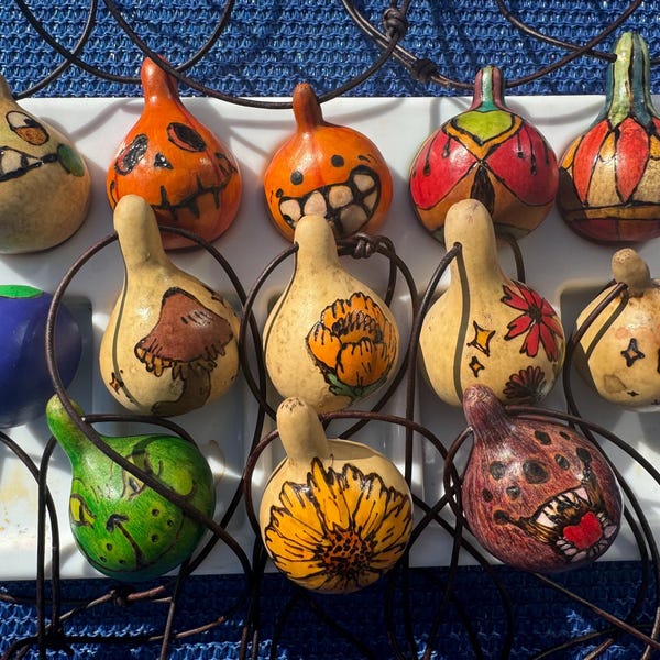 Dried Hard Shell Bottle Gourd - 7" Diameter - Etsy