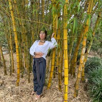 Indigo Cone USA Red Selvedge Denim 12 Oz Heavyweight Raw Denim - Etsy