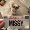 Mini State License Plates - Etsy