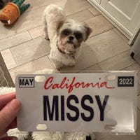 Mini State License Plates - Etsy
