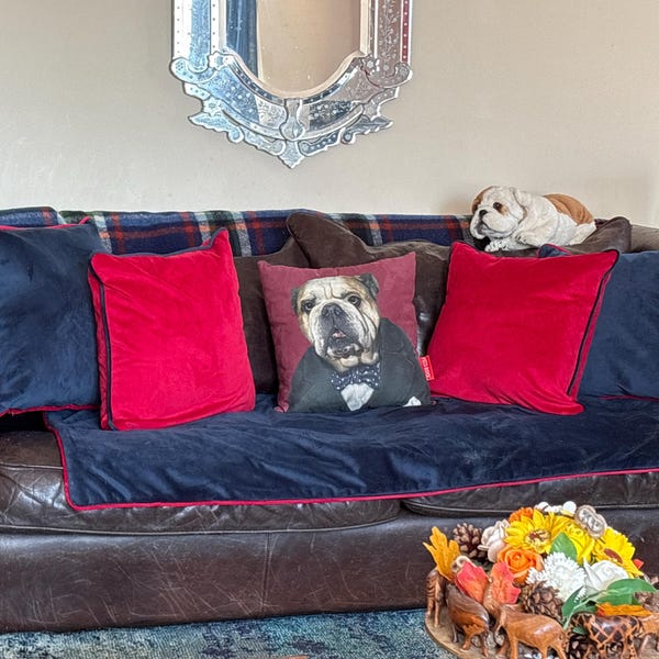 Luxurious Bespoke PIPED Velvet Cushion Covers - Piped Edge - Zipped ...