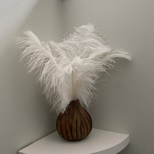 10 Pcs 8-10" 10-12" 12-14" 14-16" 16-18" 20-22" 24-26" White Ostrich ...