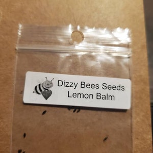 CUCAMELON Mouse Melon SEEDS Dizzy Bees Urban Garden | Etsy Canada