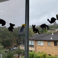 Australian Animal Bunting Set of 8 Aussie Animal Australiana - Etsy ...