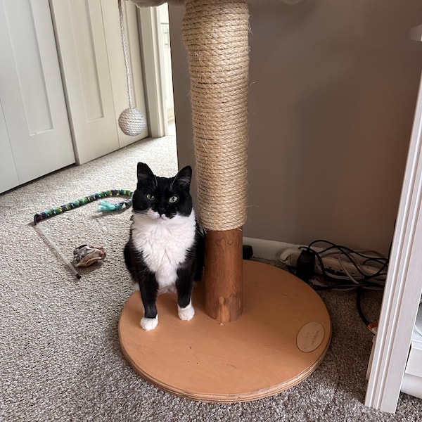 Hardwood Sisal Custom Cat Scratching Post - Etsy