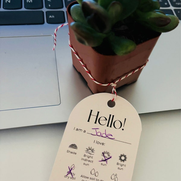 Plant Profile Care Guide Editable Canva Cards Plant Labels Indoor ...