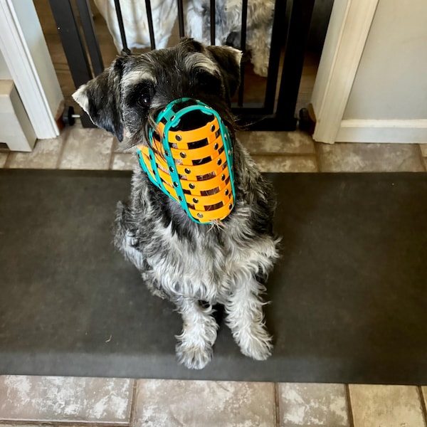 Custom Made to Measure Colourful Biothane Dog Muzzle - Ultra Adjustable ...