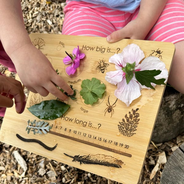 Number Flash Cards Number Counting Early Years Maths Counting Flash ...