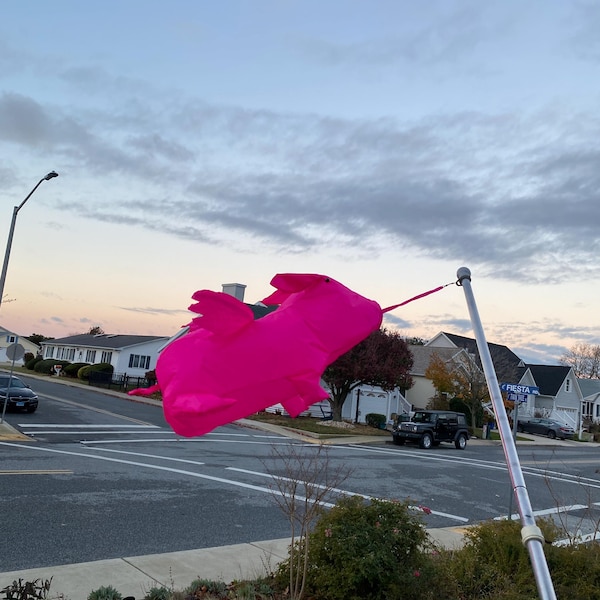 Duck Windsock - Etsy
