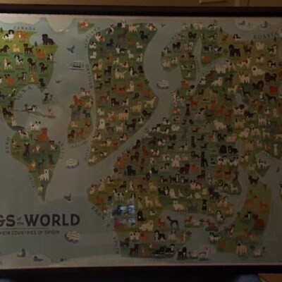 Dogs of the World Map 36x24 POSTER - Etsy Canada
