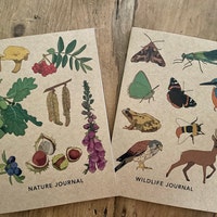 Colouring Book of British Birds 100% Recycled - Etsy UK