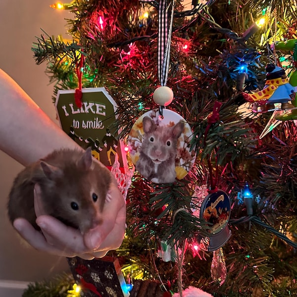 Yellow Lab Sticker, Labrador Sticker, Yellow Lab Car Decal, Lab Gift ...