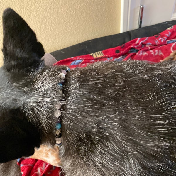 Custom Dog Collar, Crystal Cat Collar, Crescent Moon, Reiki Jewelry ...