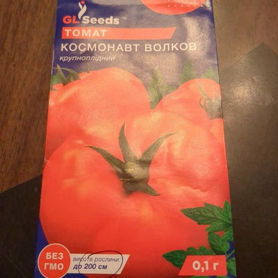 Celosia Flower Seeds Bullfighter Flower Seeds - Etsy