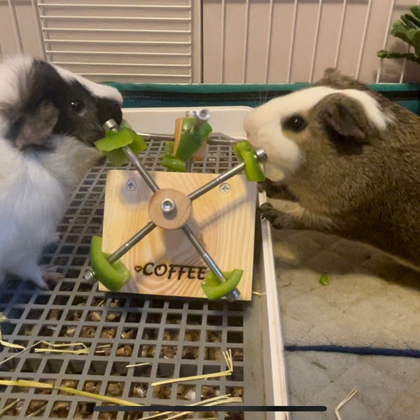 Pyramid Wheel Feeder Toy, Guinea Pig Toy, Rabbit Toy, Hamster Toy ...