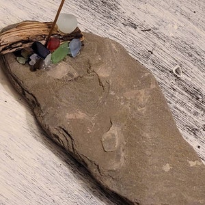 Pearl Turbo Setosus Shell 1 3/4 2 1/4 Opening 1 - Etsy