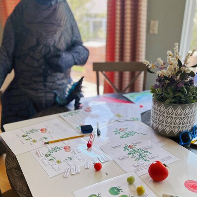 TOMATO Unit Study, Life Cycle, Anatomy, Nature Study, Science ...