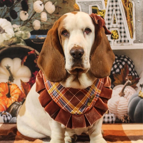 Wren Snap on Dog Bandana, Fall Dog Bandana, Autumn Dog Bandana, Ruffle ...