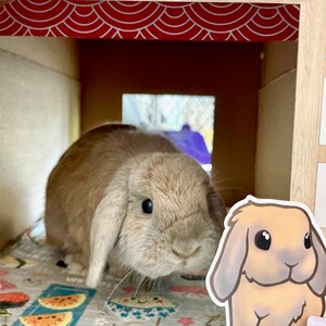 Broken chocolate tort lop rabbit sticker printed chibi bunny | Etsy