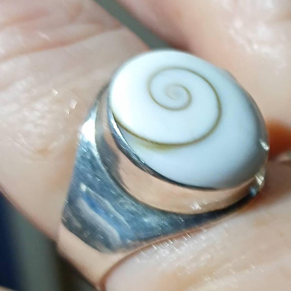 V Leg Silver and Spiral Shell Ring, Koru Shell, Shiva Eye Shell, Good ...