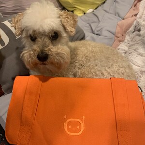 Cotton Candy Robotto Nintendo Switch and Accessories Bag - Etsy