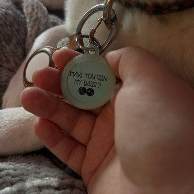 Alexa Bring Me a Treat Dog Tag for Small Dogs, Yellow Dog Tags With ...