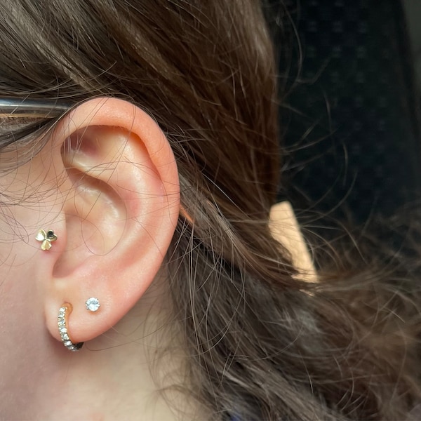 14K Solid Gold Tiny Red Apple Stud Screw Back Earrings, Cubic Zirconia ...