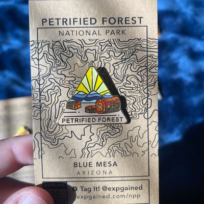 Petrified Forest National Park Hard Enamel Pin National Park Lapel Pin ...