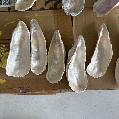 Oyster Shell Cluster, Beach Decor, Beach Wedding, Nautical Theme, Home ...