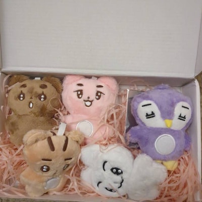 Cute Kpop TXT Inspired Mystery Box for MOATXT Photocardsgift for Kpop ...