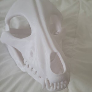 Raven Bird Skull Corvus Bone Skull Mask Movable Moving Hinge - Etsy