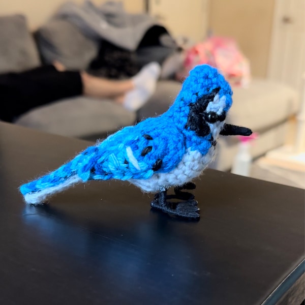 Beautiful Blue Jay Written Crochet Pattern | Realistic Bird Crochet ...