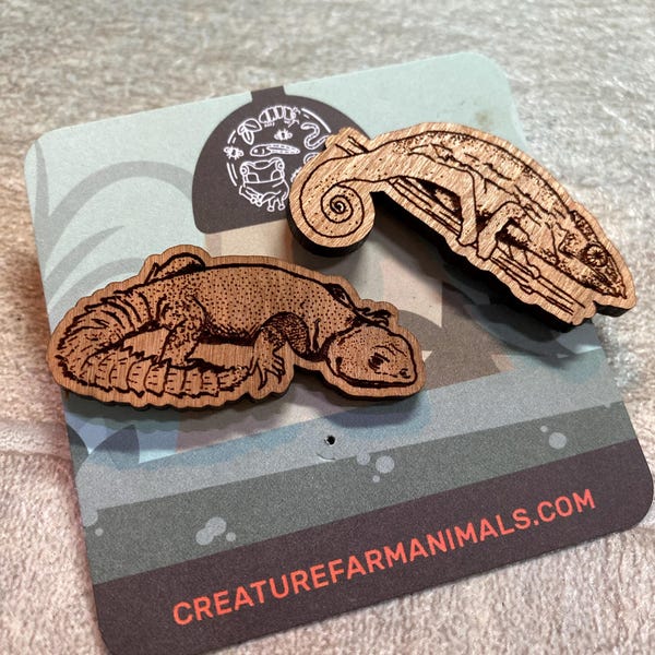 Wooden CREATURE PINS | Any Species | Custom Reptiles Amphibians ...