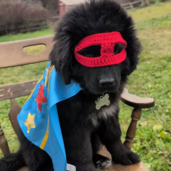 Super Hero Dog Costume, Super Hero Mask for Dogs, Super Hero Dog ...