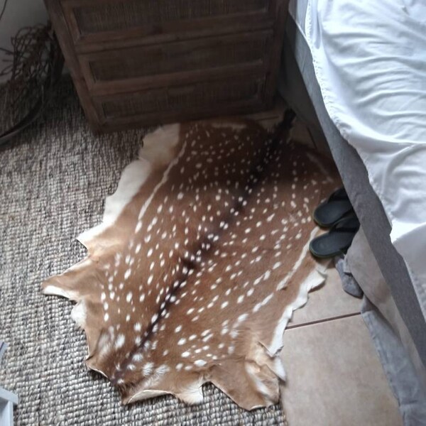 Axis Deer Hide, Sustainable, Ethical, Genuine, USA, Meaningful Gift, Home Decor - Etsy