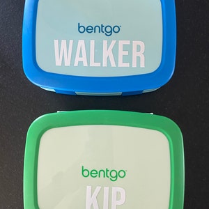 NASA Pink Worm Sticker Laptop Sticker Water Bottle Sticker - Etsy