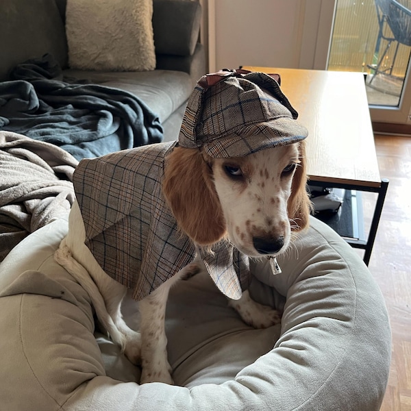 Dog Detective Costume Halloween, Deerstalker Hat and Cape for Large ...