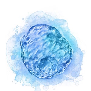 Custom IVF Art Embryo Watercolor Personalized Pregnancy Gift Nursery ...