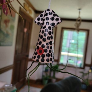 Neglecta Mini Air Plants Tillandsia, Air Plant, Indoor Plant, House ...