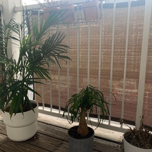 Custom Sized Gate Privacy Screen Panel-shade & Privacy Barrier | Etsy