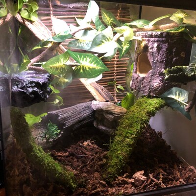 ABG Mix 1 Gallon - Etsy