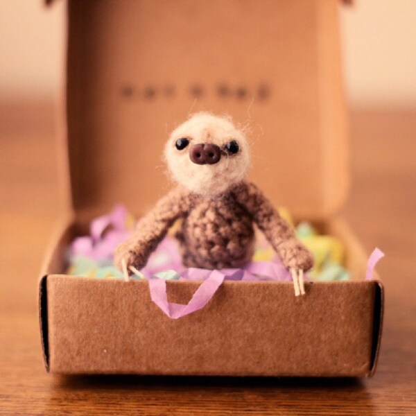 Miniature Sloth, Baby Sloth, Sloth, Sloth Lover, Two Toed Sloth, Sloth ...