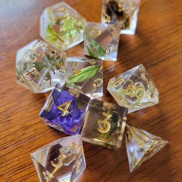 Forest Floor (REAL PLANTS!) Dice Set for Dungeons and Dragons Tabletop ...