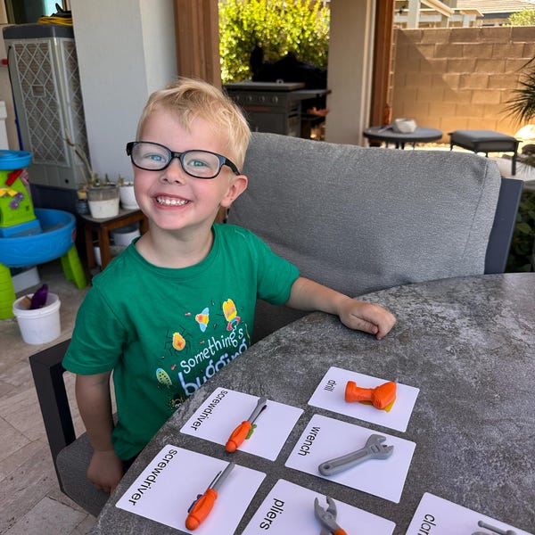 Montessori Classification Set – 3-part Nomenclature Cards (classified ...