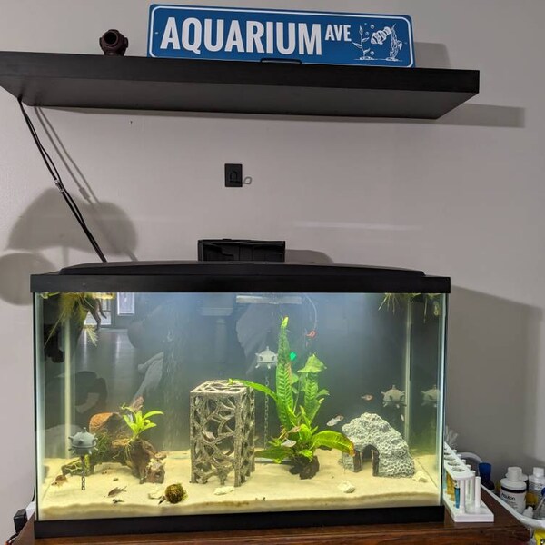 Aquarium Avenue Sign, Custom Aquarium Sign, Aquarium Decor ...
