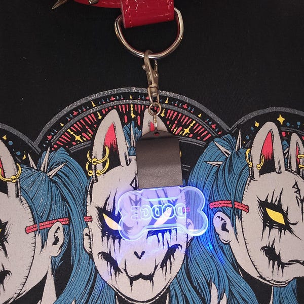 Personalised LED Dog Coller Bone Shape Rechargeable Tag, Light up Dog ...