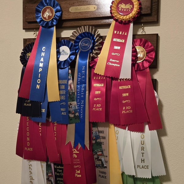 Wood Award Ribbon Rack With Custom Nameplate - Etsy