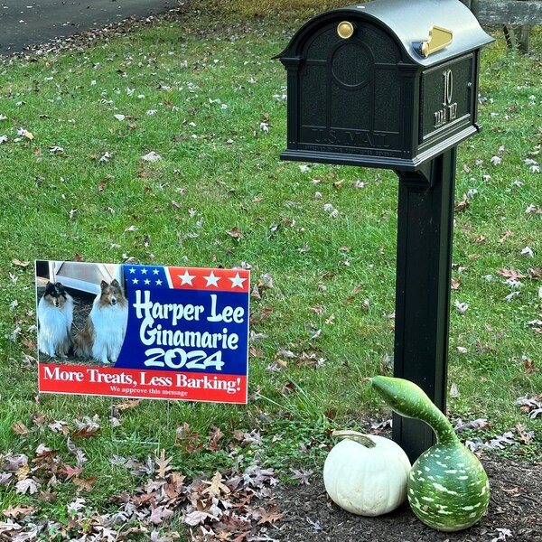 Presidential Funny Humorous Yard Sign - Etsy
